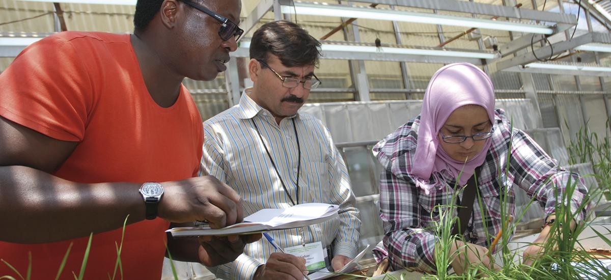 Scientist-Community Partnerships: Resources | Union of Concerned Scientists